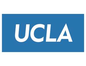 Home - Human Fusions Institute